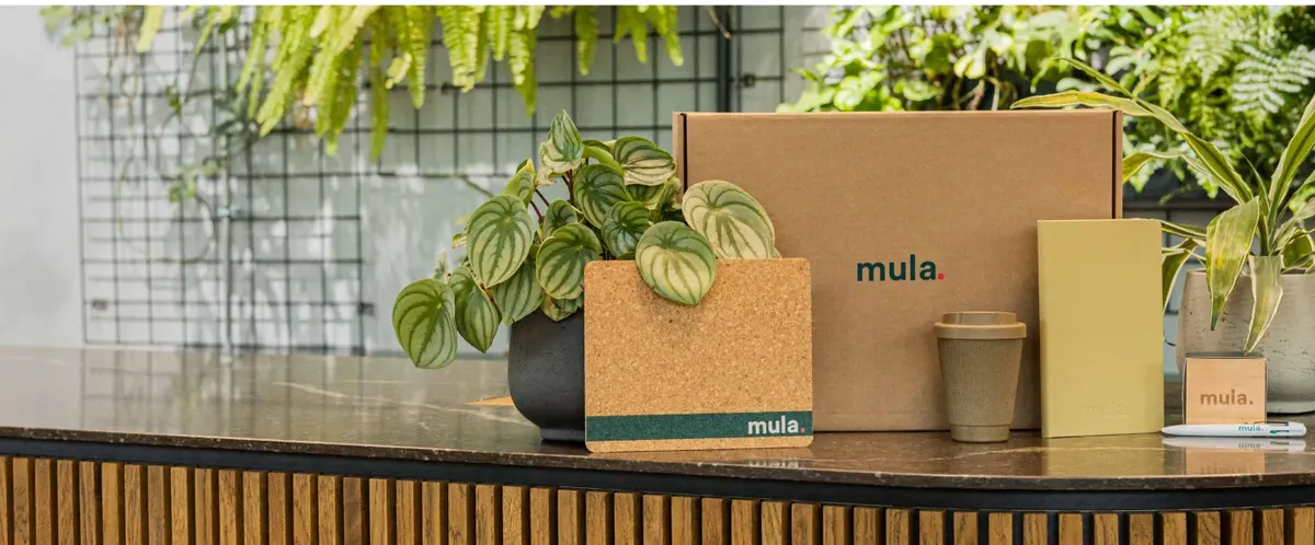 Merchandise & Sustainability at mula - Discover More | mula.
