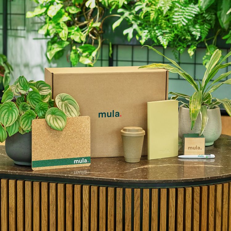 Merchandise & Sustainability at mula - Discover More | mula.