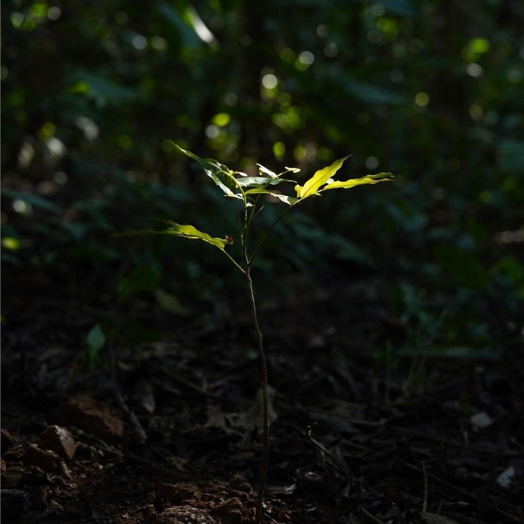 Merchandise & Sustainability at mula - Discover More | mula.