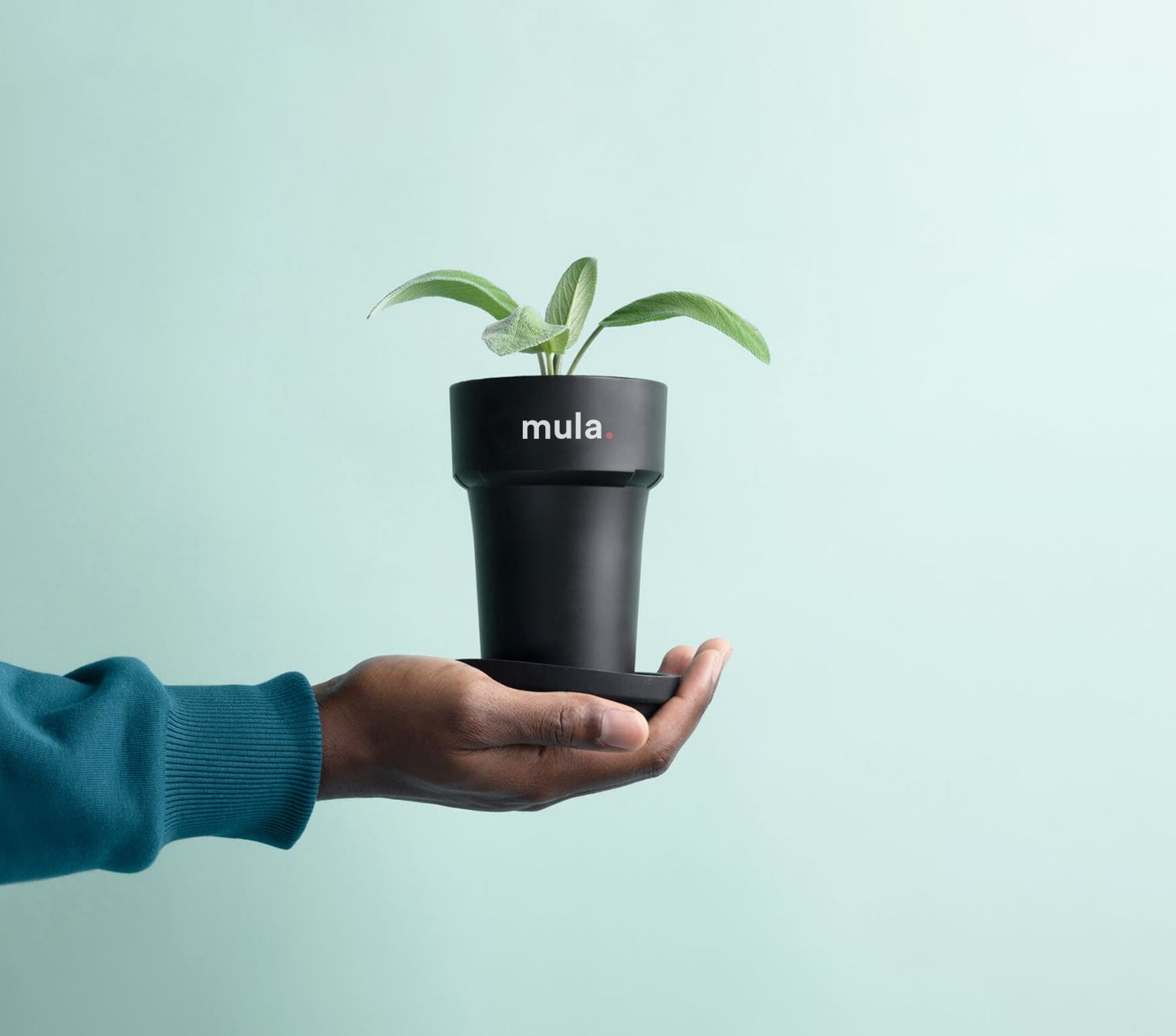 Merchandise & Sustainability at mula - Discover More | mula.